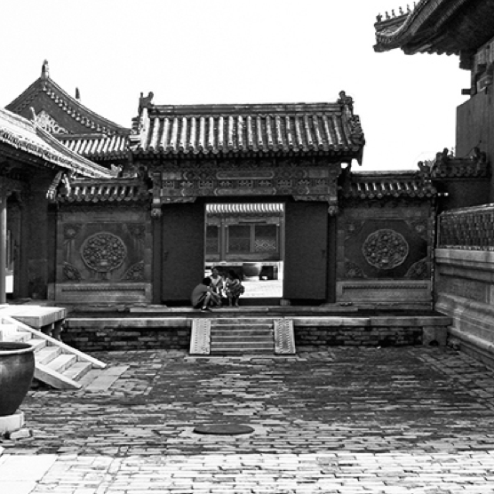 HOME | THE SASAKAWA PEACE FOUNDATION