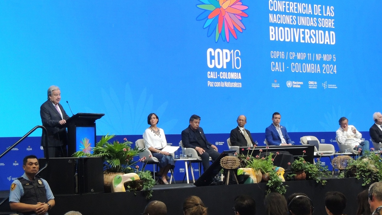 [Event Report] Interview Videos: SPF at CBD/COP16, Cali, Colombia ...